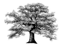 Association Documents – Live Oak Landing HOA